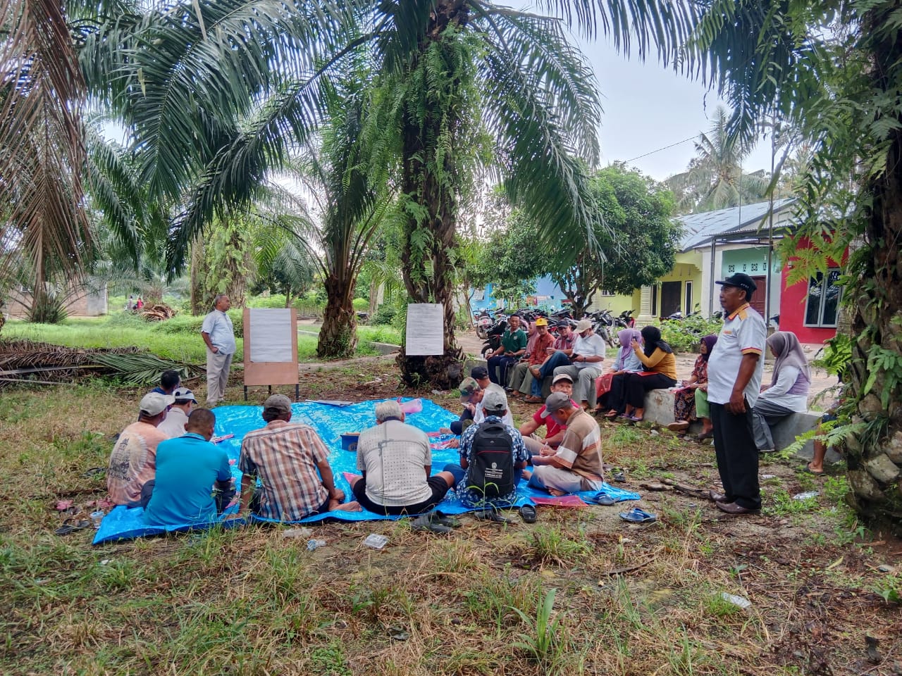 Piloting regenerative agriculture for oil palm smallholders in North ...